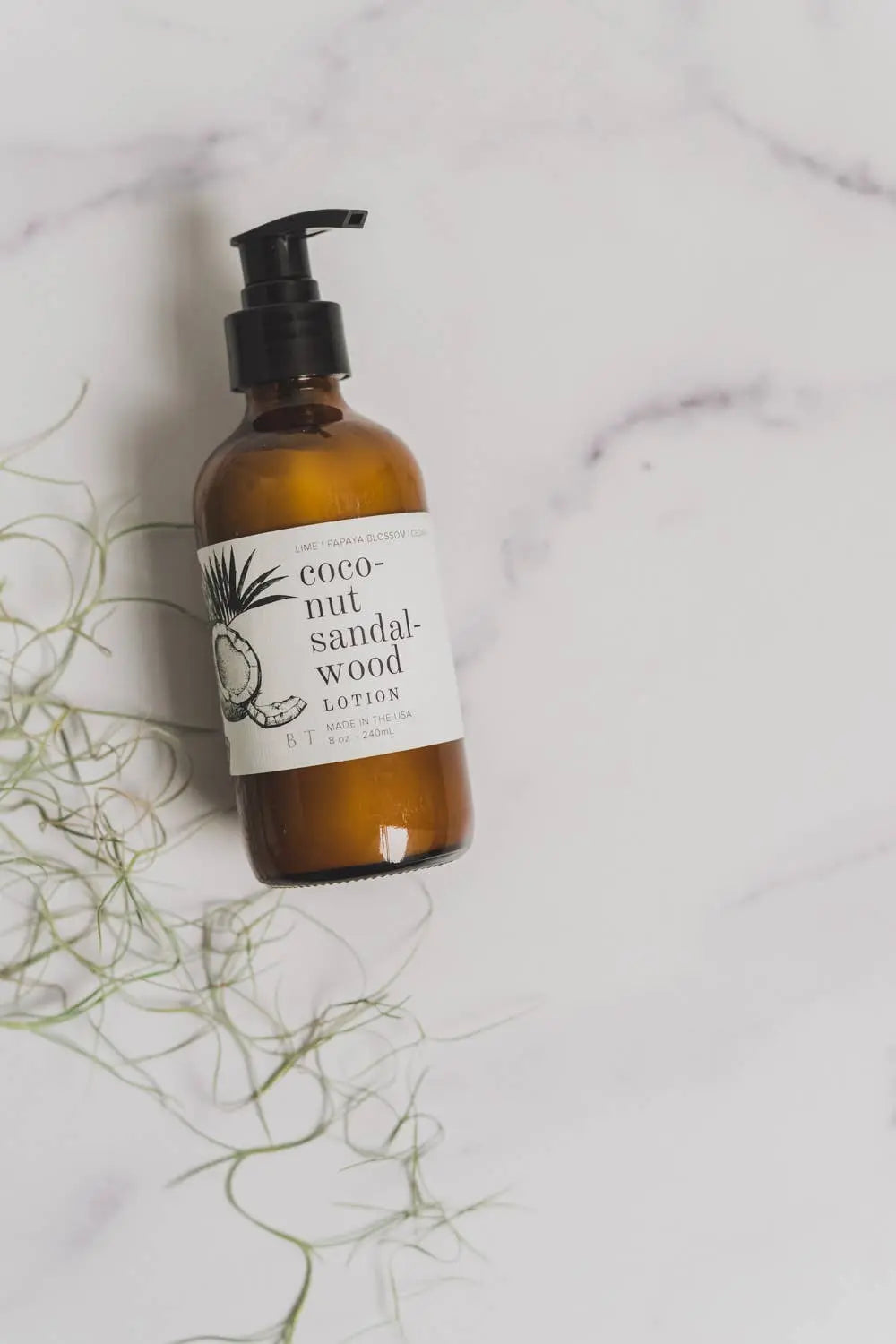 Coconut Sandalwood Hand & Body Lotion - Greenhouse Home