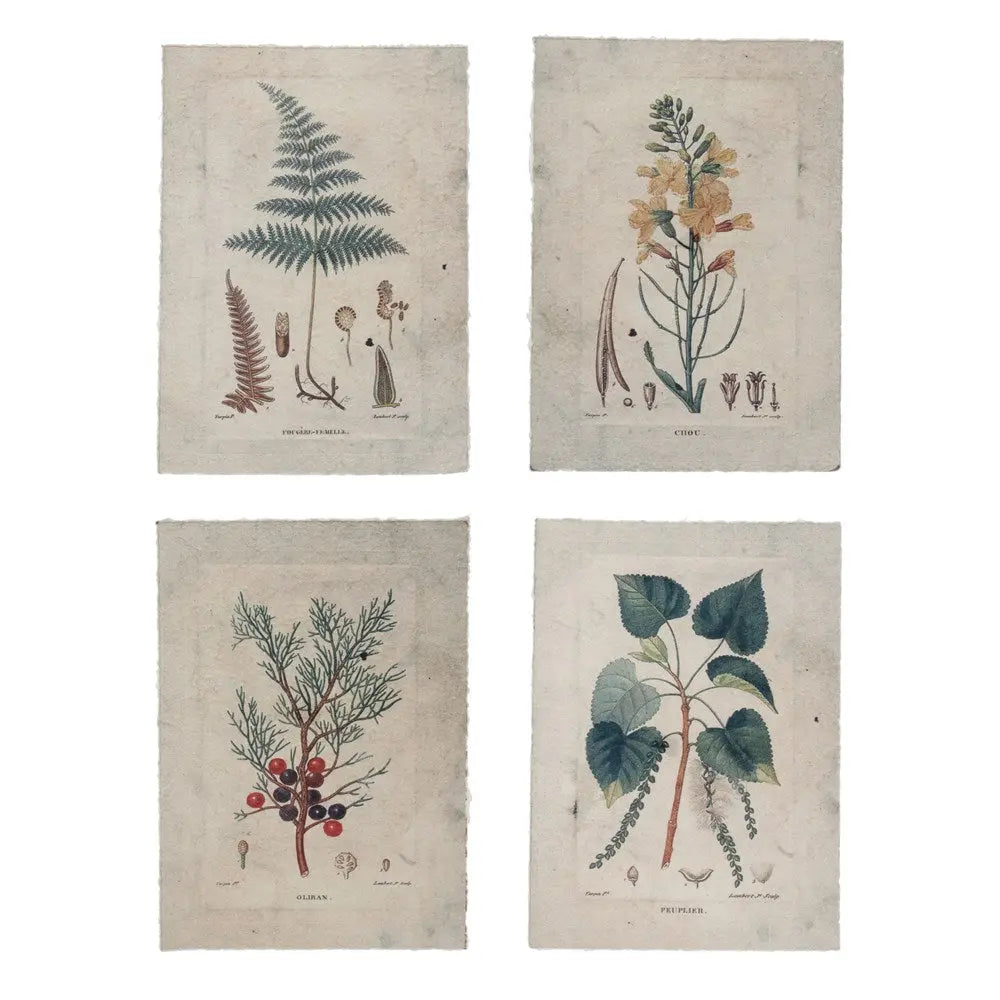 Vintage Reproduction Botanical Prints - Set of 4 - Greenhouse Home